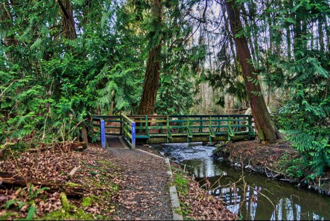 Seattle awarded $12.9 million to plant trees,create jobs, advance ...